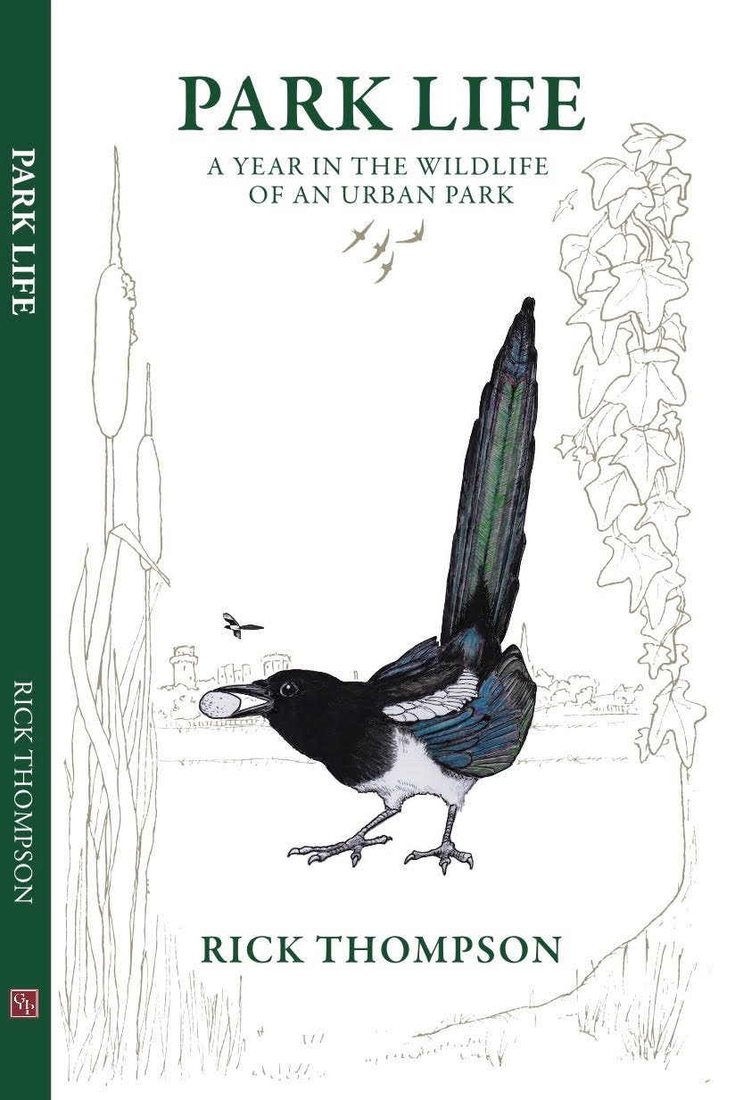 Wildlife Writer – T-Media