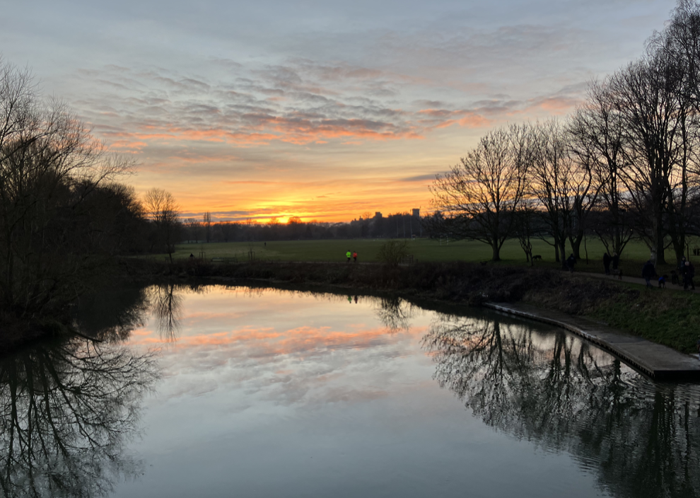 Wildlife Writer – T-Media